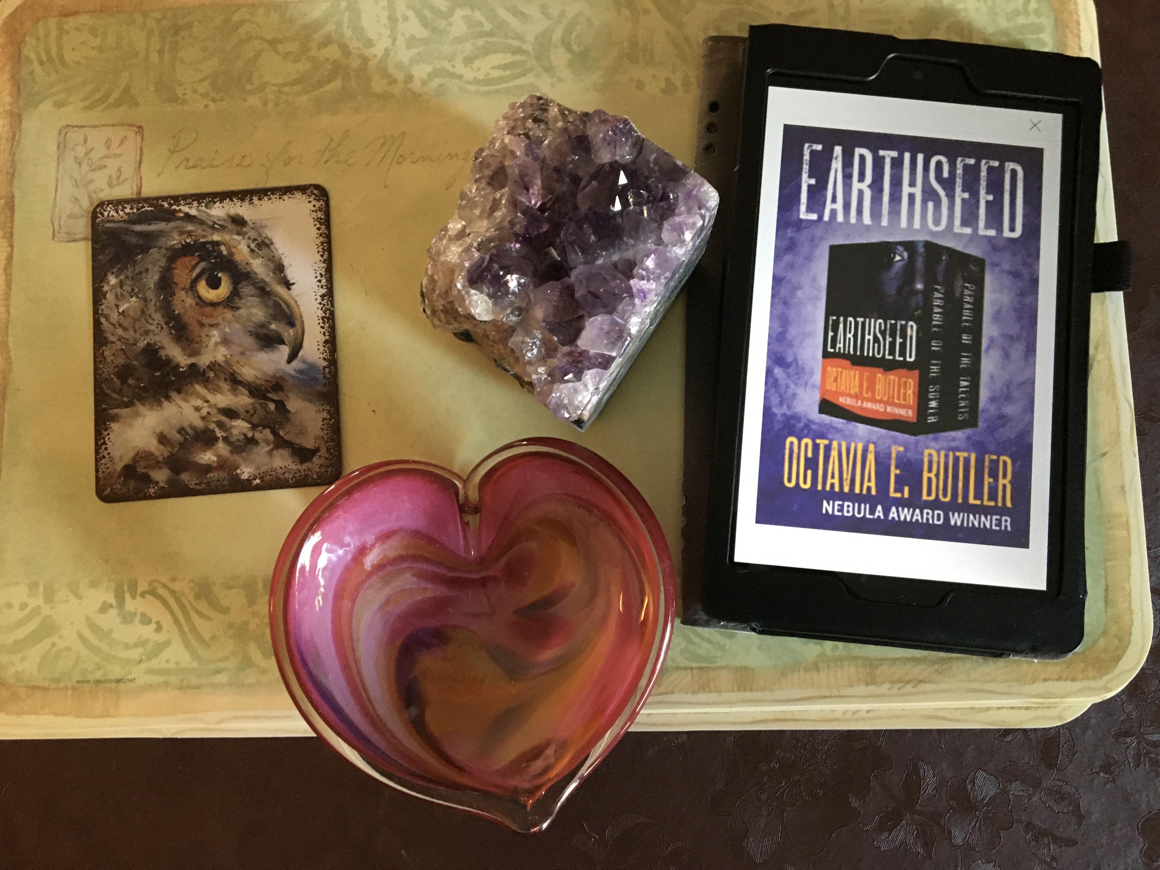 Earthseed, a review – Wild Imaginings: A Spiritual Journey